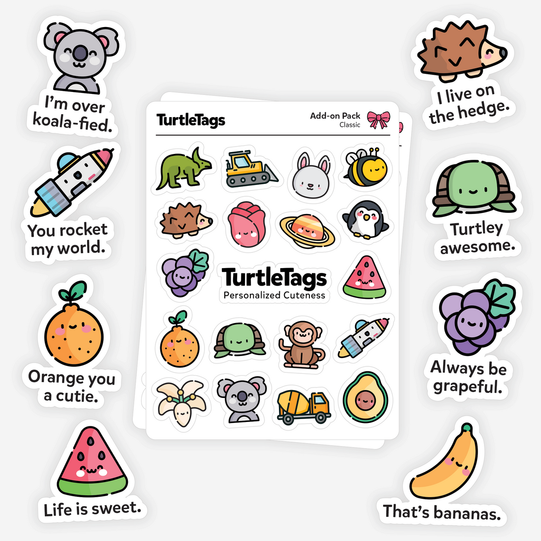 Classic Add-on Pack – TurtleTags